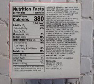Fast Bites Microwaveable Sandwiches (Dollar General, Dollar Tree ...