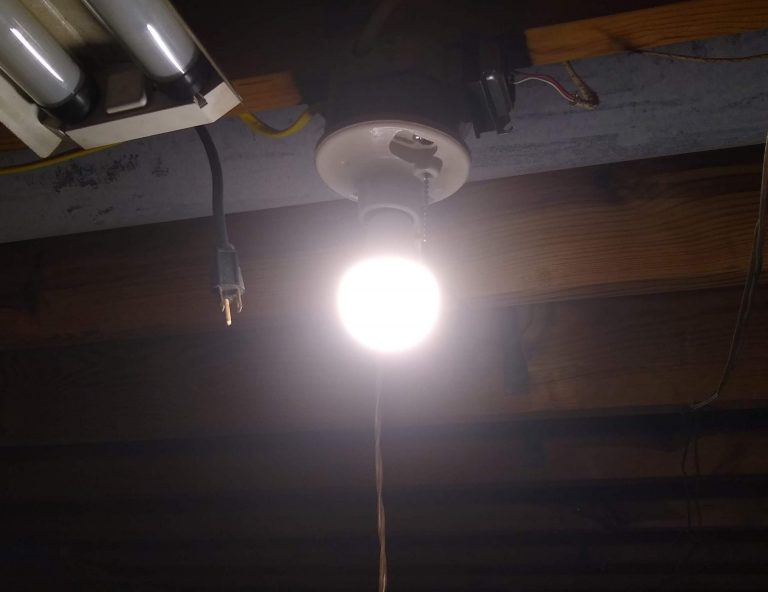 LED Light Bulb (Dollar Tree) | DOLLAR STORE REVIEWER